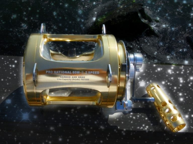 Cyber Monday is Here. All Tuna, Marlin and Dolphin Rods and Reels on ...